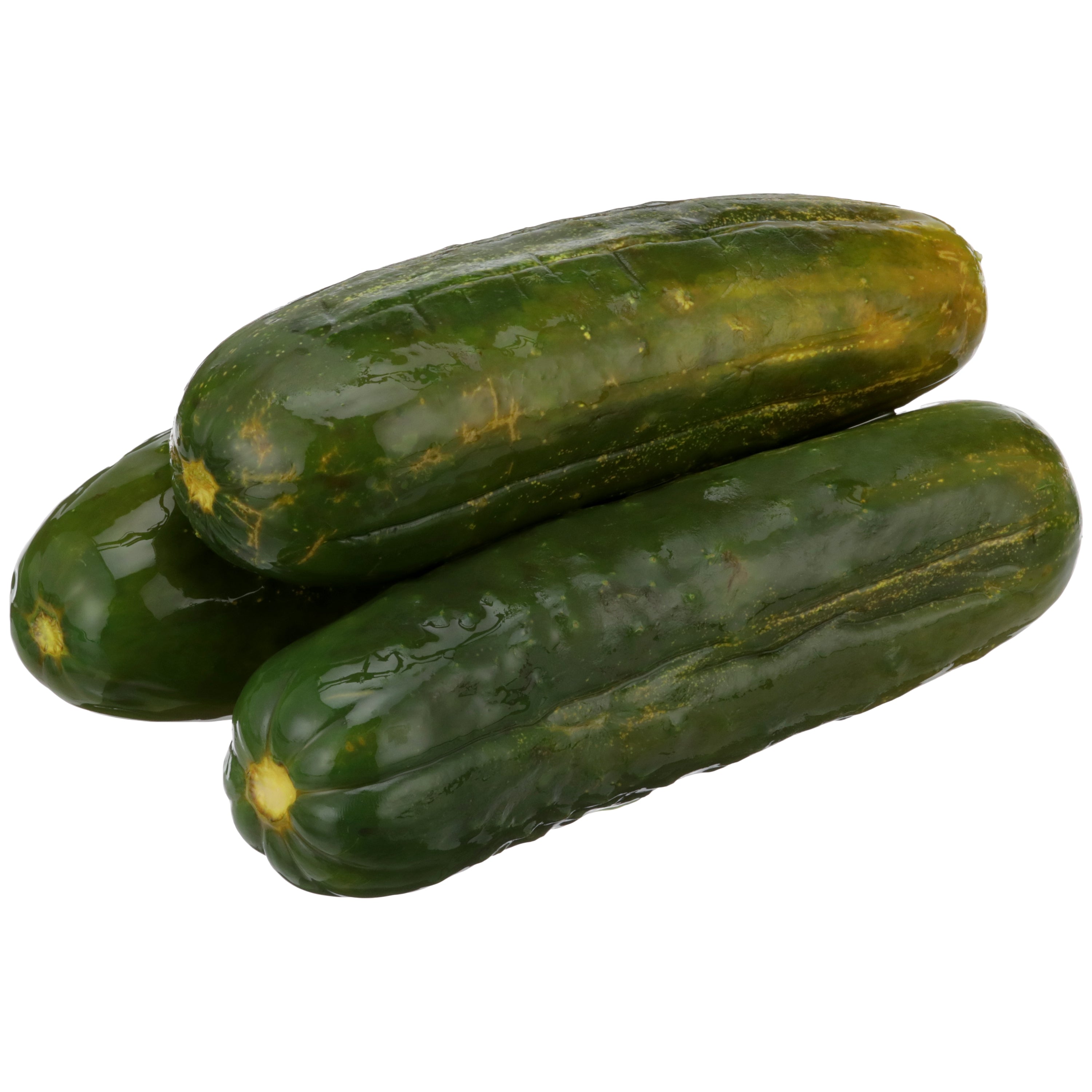 Schwartz's Pickle Whole Kosher Dill 60/70 1-5 Gallon Gluten Free; Kosh